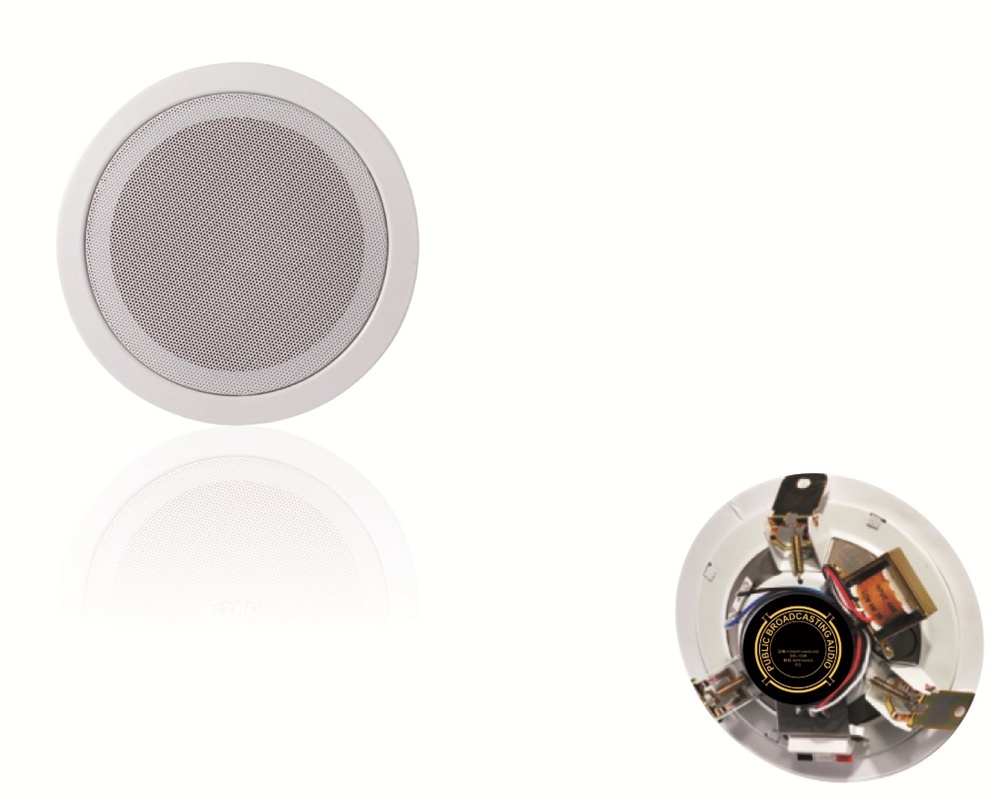 Hi-Fi Ceiling Speaker, Hi-Fi Ceiling Loudpeaker, ceiling speaker
