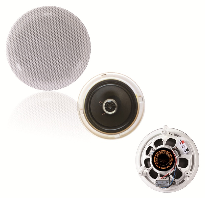 Constant voltage 70V-100V Coaxial ceiling speaker